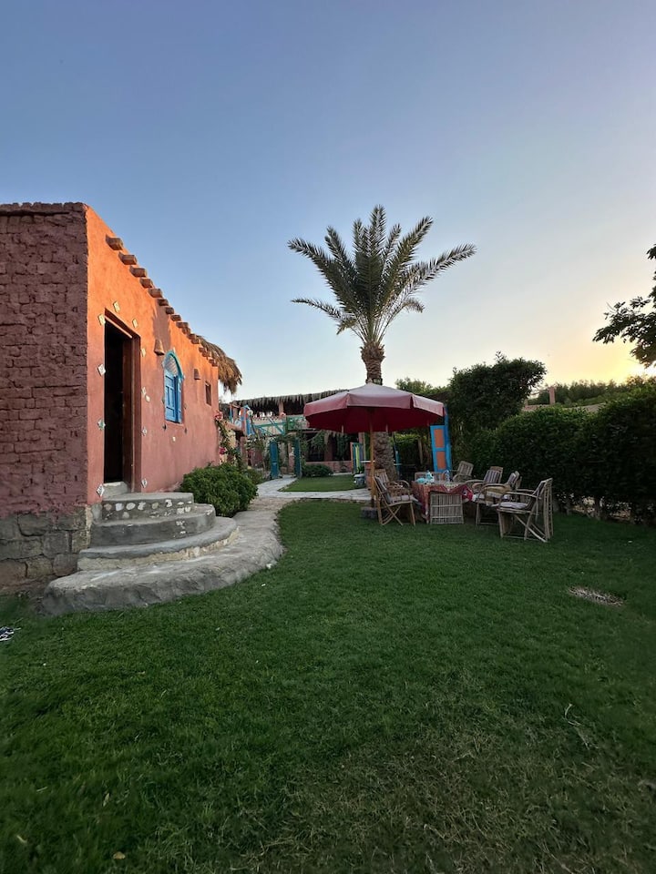 Rove Hotel Tunis - Égypte