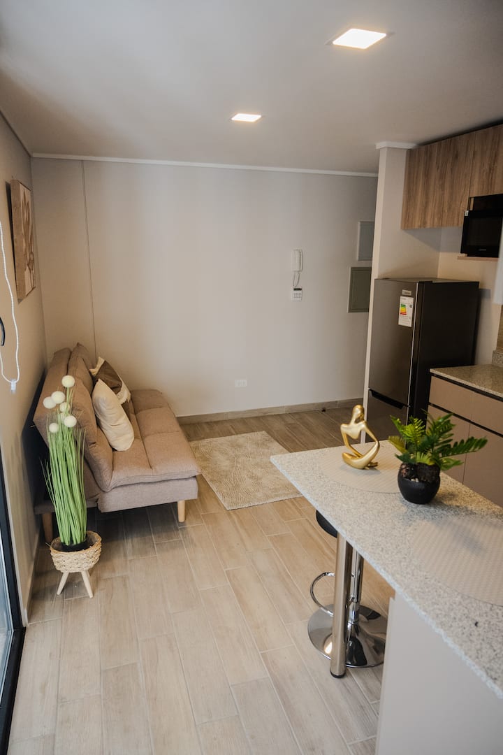 Estudio Moderno Junto Al Barrio Histórico De Stgo - Santiago