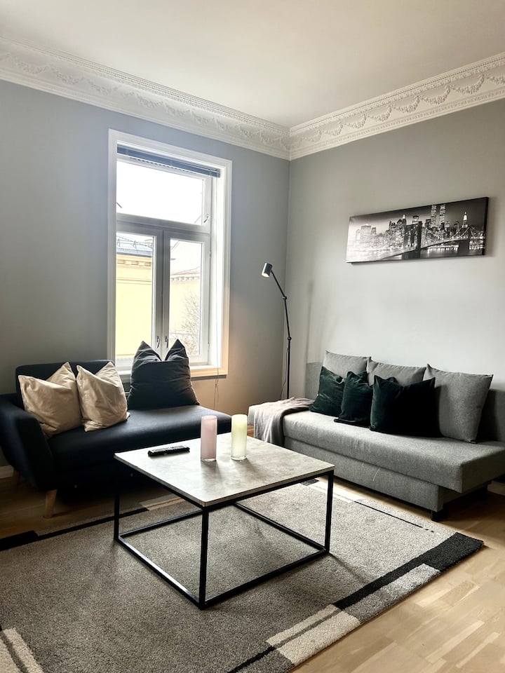 Koselig Og Sentral Leilighet - Oslo