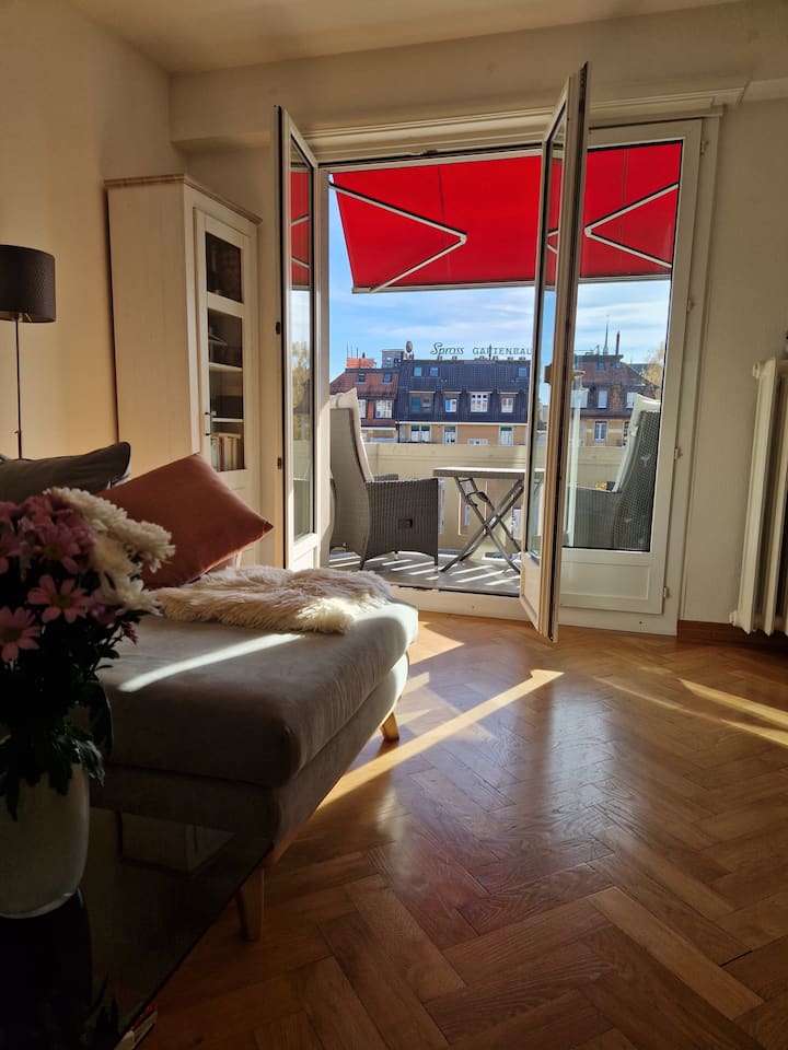 Sublet In Cosy Central Flat With 2 Balconies - Zürich