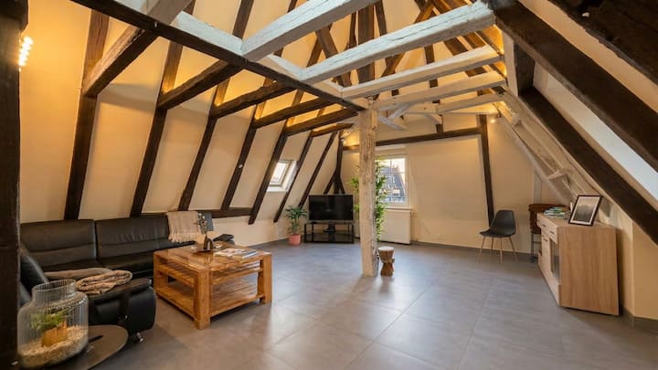 T3 Moderne En Hyper-centre Dans Bâtisse Xviie - Saumur