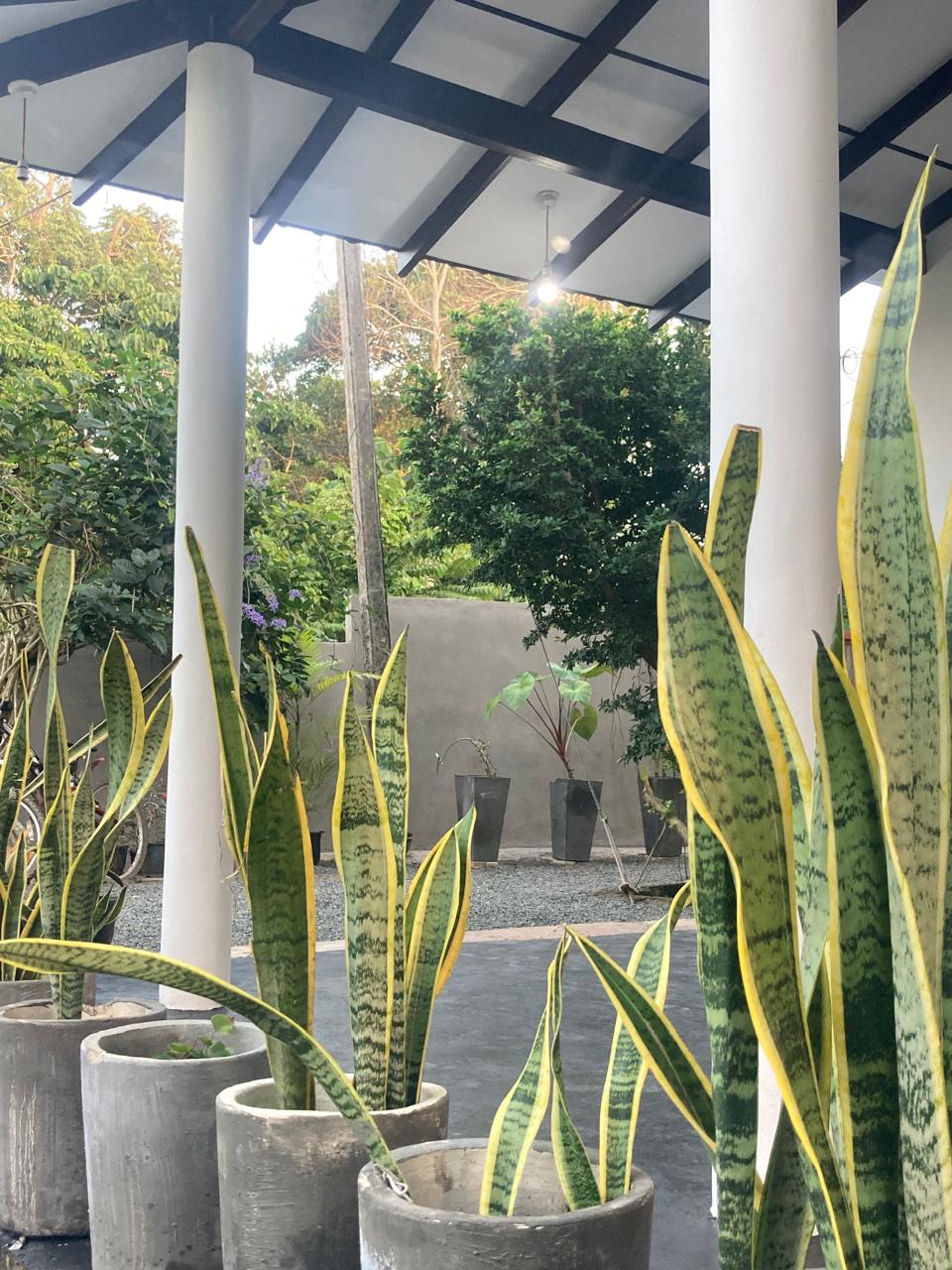 Chillout Mirissa - Casas en renta en Mirissa, Provincia Sur, Sri Lanka ...