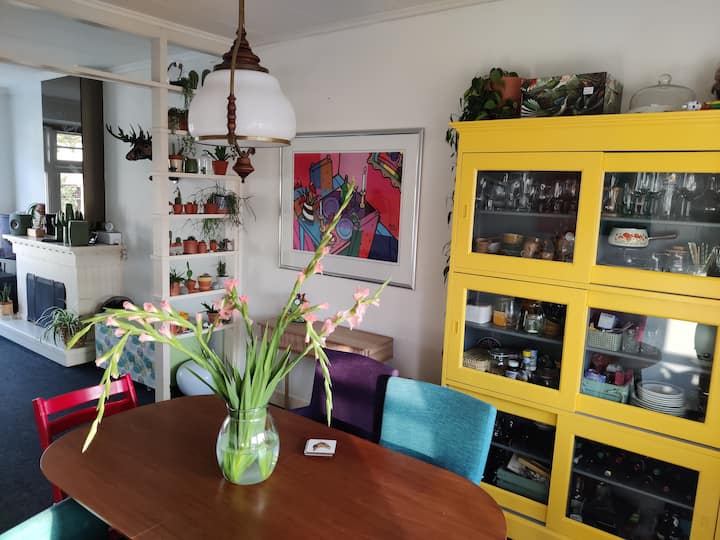 Riante Woning Randje Centrum Alkmaar - Alkmaar