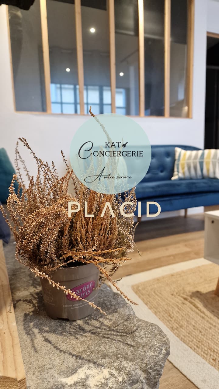 Le Charme De Vannes à Vos Pieds - Murs En Pierre - Vannes