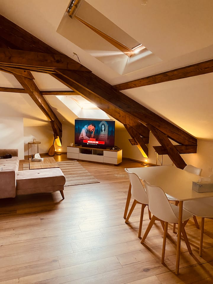 Appartement Cosy En Face De La Gare. - Les Plans d'Hotonnes