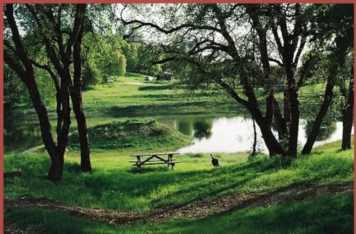 Retreat At The Nest
 Healing
Sanctuary
In Nature. - Murphys, CA