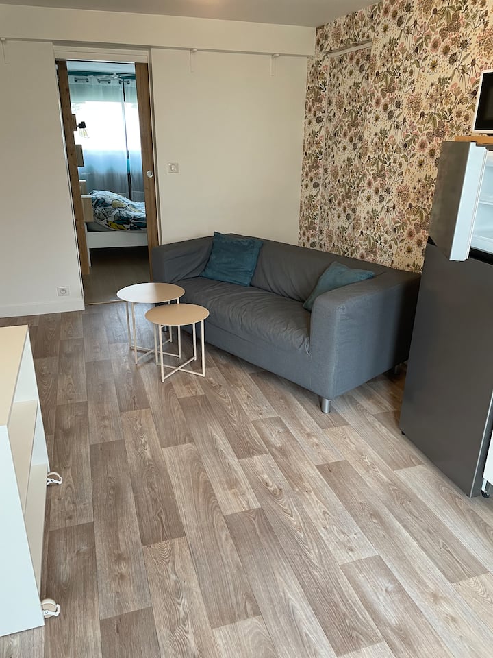 Un Logement Privé Dans Une Maison Proche Du Centre - Angers