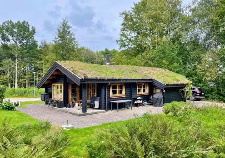 Hyggelig Unik Svensk Hytte Ved Finjasøen I Skyrup - Hässleholm