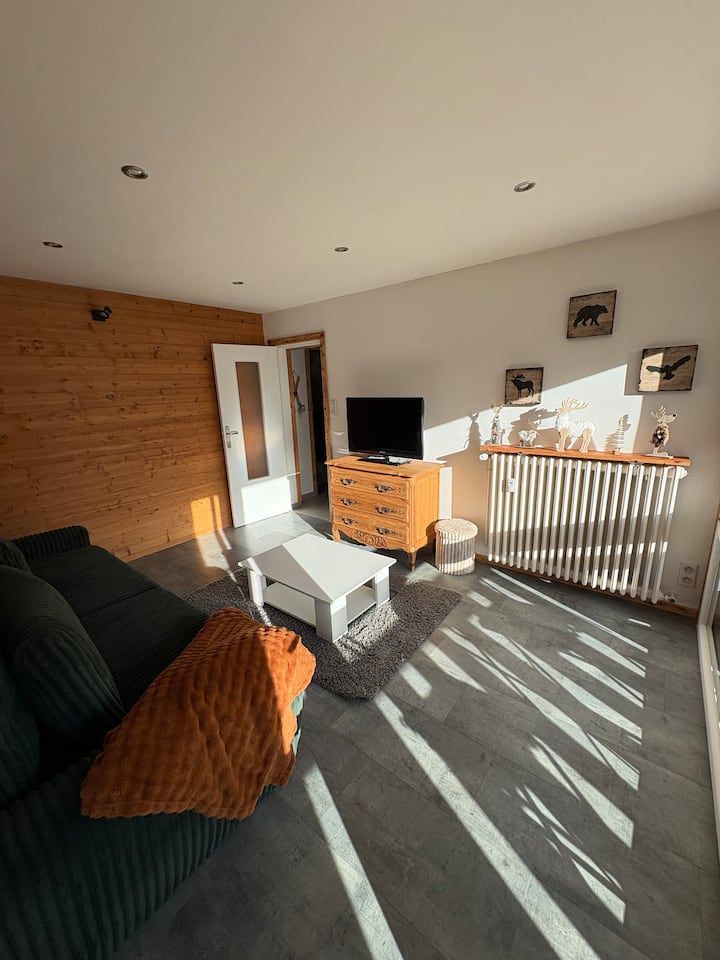 Appartement Centre-ville - Saint-Lary-Soulan