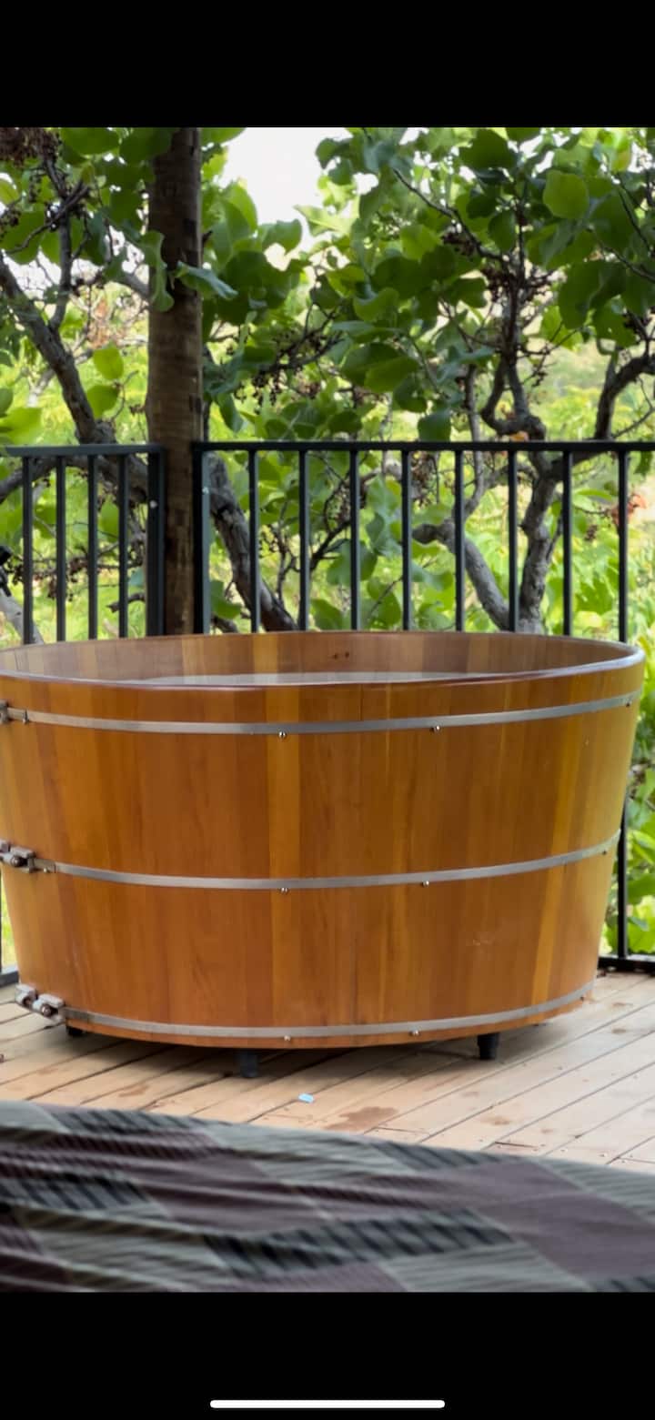 Cabana Indaiázinho - Brazil