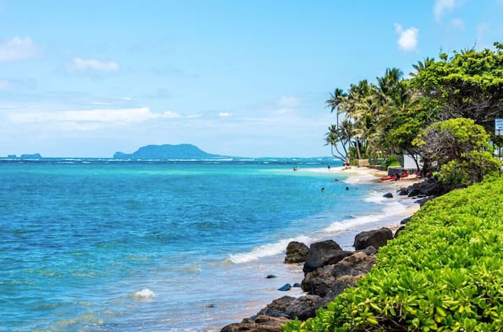 Oceanfront Dream House - 4bd Beachfront Luxe - Swanzy Beach Park