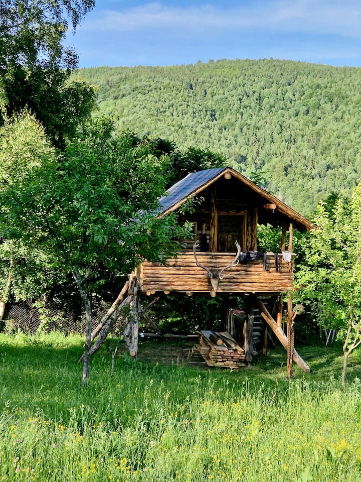 "Patulul" - Nedeea Vâlceană - Brezoi