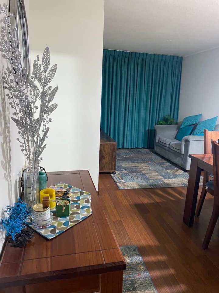 Departamento En Valdivia - Valdivia