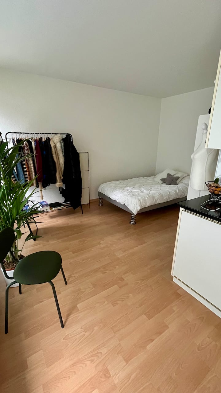Cozy 1 Bedroom Apartment Near Bern City Center - Bern