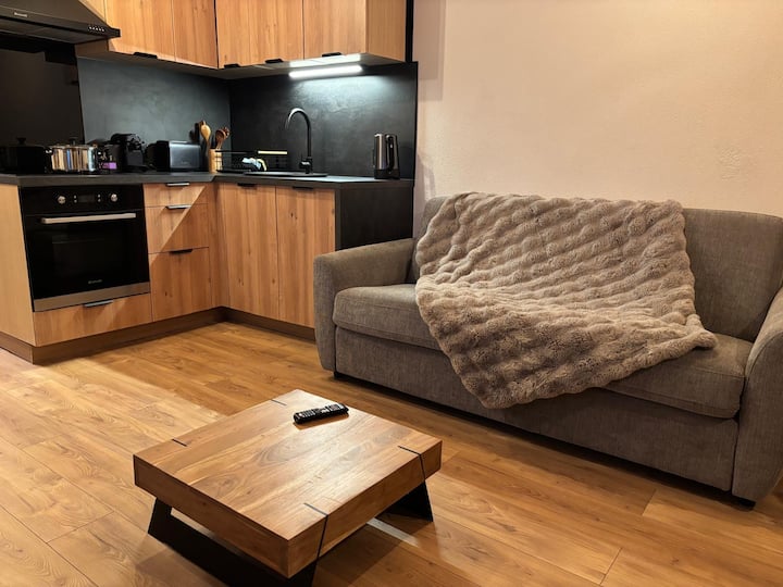 Magnifique Duplex Valberg 48m2 Terrasse Garage - Valberg