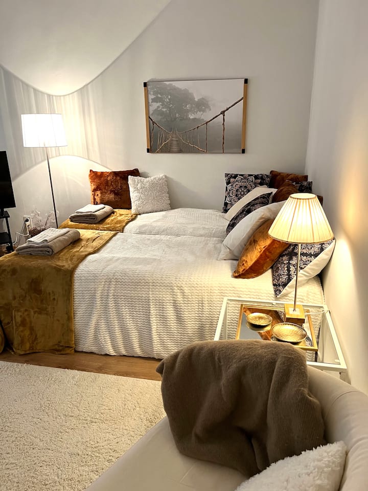 Viihtyisä Ja Raikas Koti Huippusijainnilla! - Helsinki