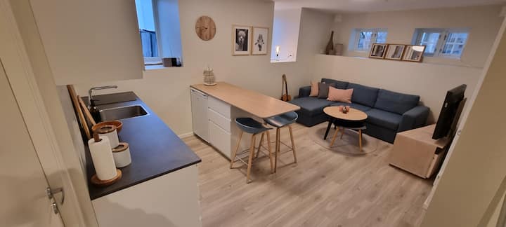 Lys Leilighet I Oslo - Oslo