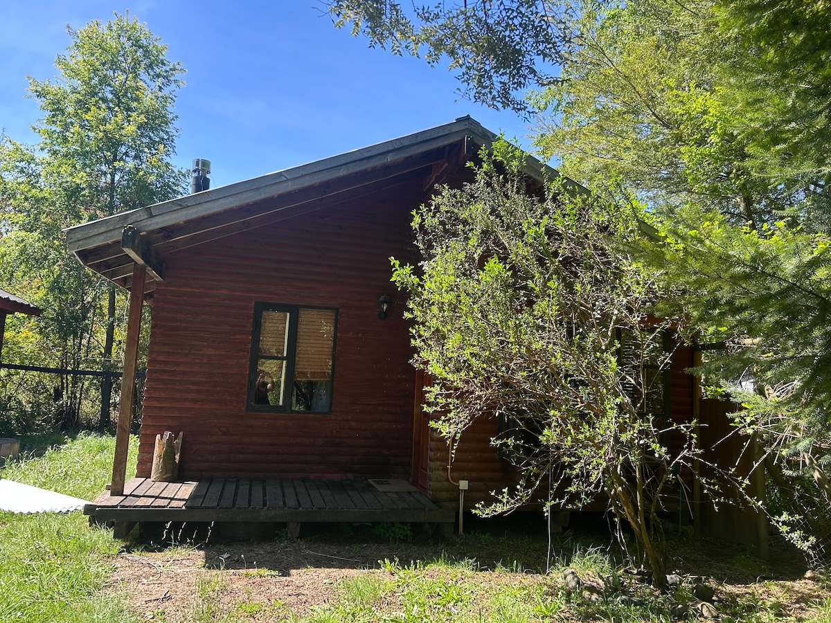 Caburgua-4 Cabins (Pucón Commune) - Cabins for Rent in Caburgua ...