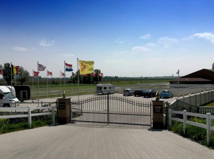 The Winterhorses Loft - Zuid-Holland