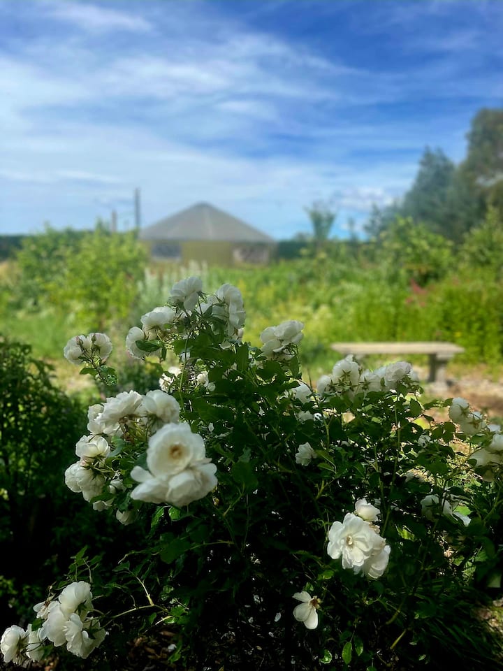 The Food Farm Yurt In The Food Forest - Amberley