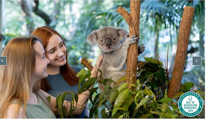 Spacious 4br Home Retreat With Pool/parkland Views - Brisbane