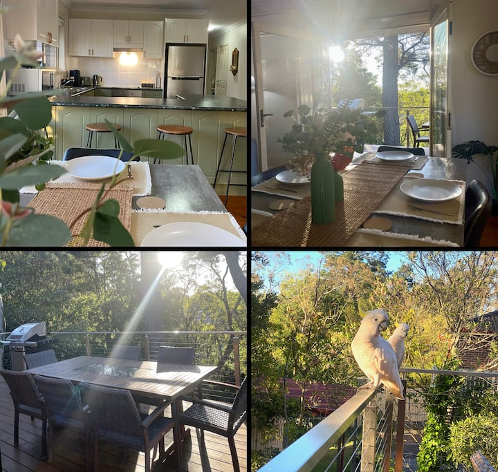 Ficus Cottage ~ 3 Bed 2 Bath - Wentworth Falls