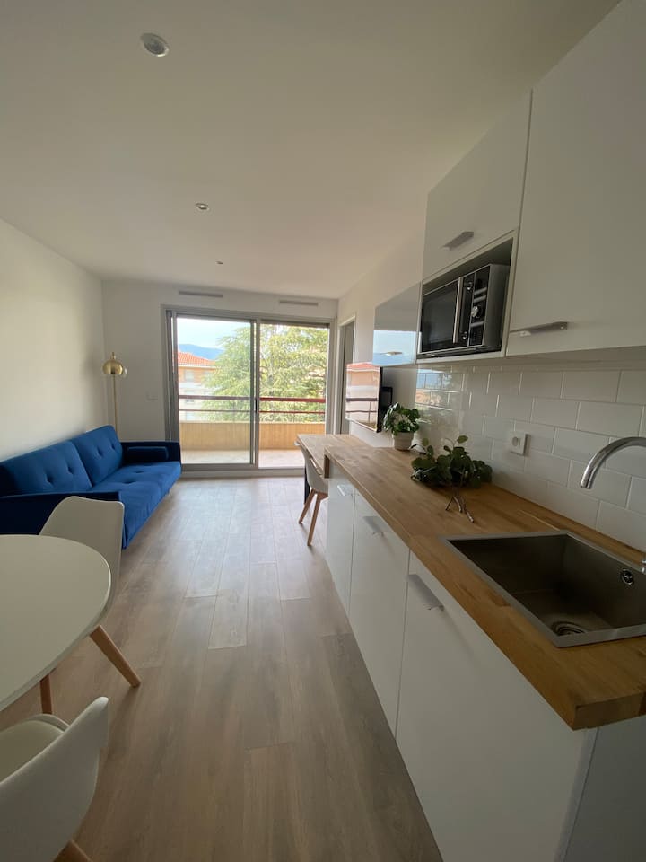 Magnifique 2 Pièces Refait à Neuf - Nice