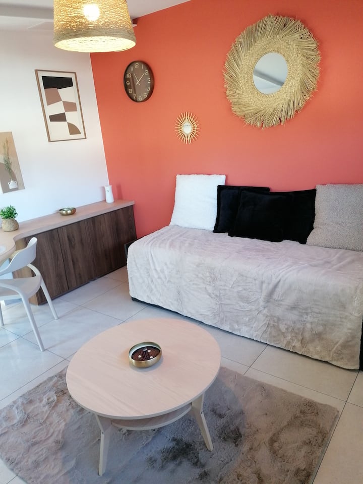 Charmant Studio Lumineux - Saint-Quentin-Fallavier