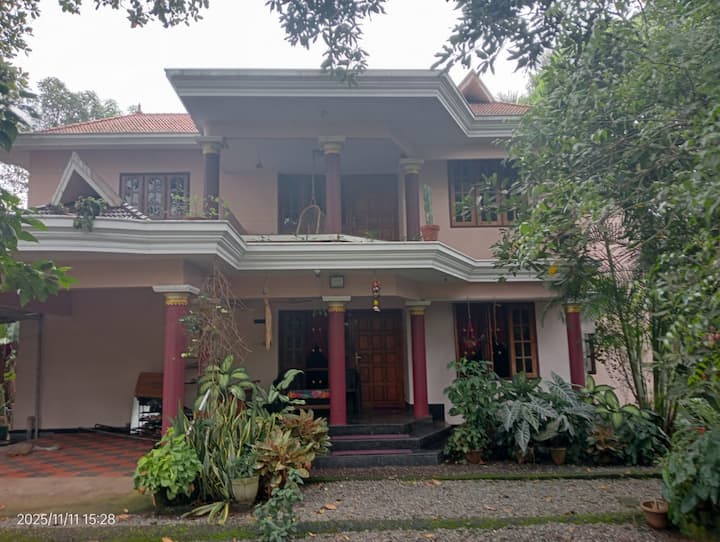 Blue Turtle - Attingal