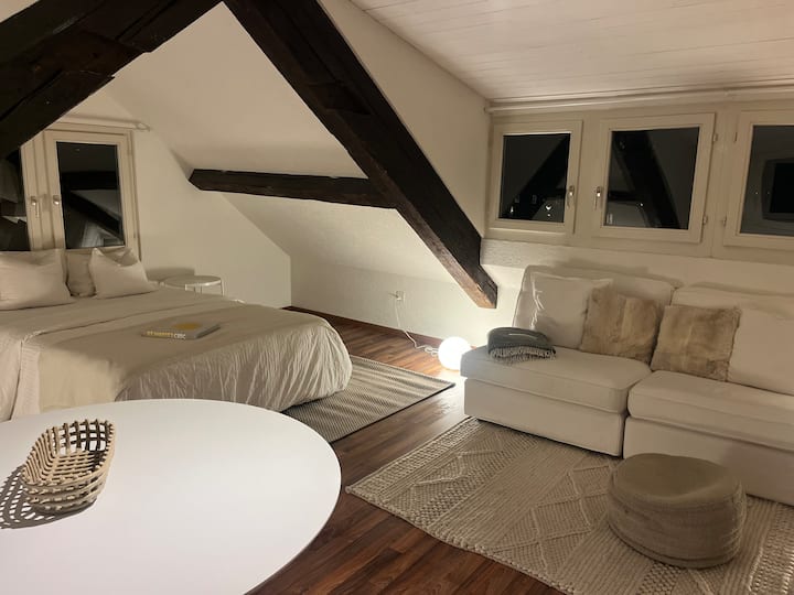 Cosy Chalet-style Rooftop Loft With Amazing View - Zurich main station