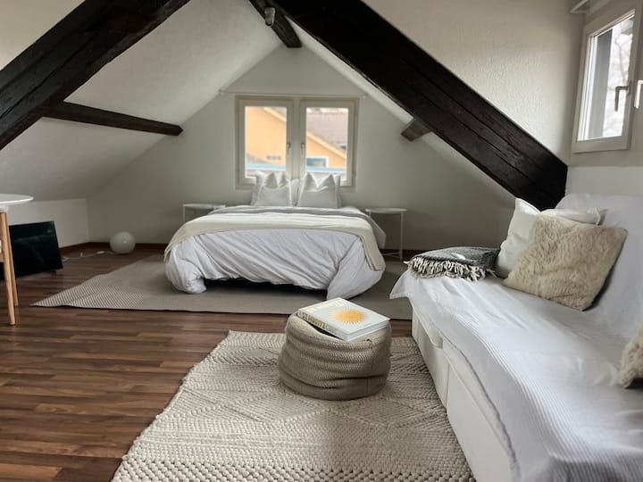 Cosy Chalet-style Rooftop Loft With Amazing View - Zürich