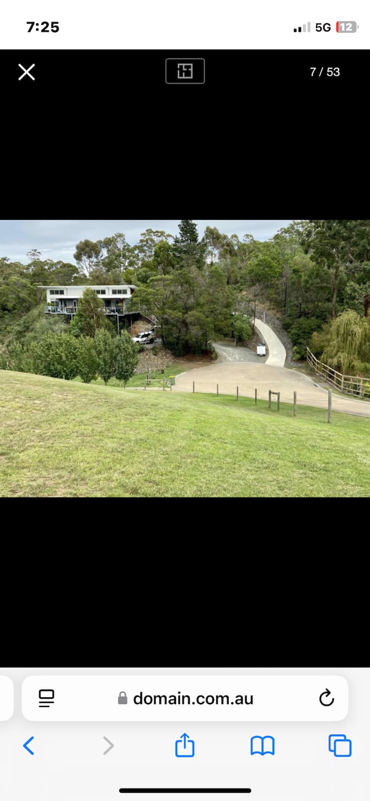 A True Writers Retreat Set Amongst The Tree Tops… - Metung