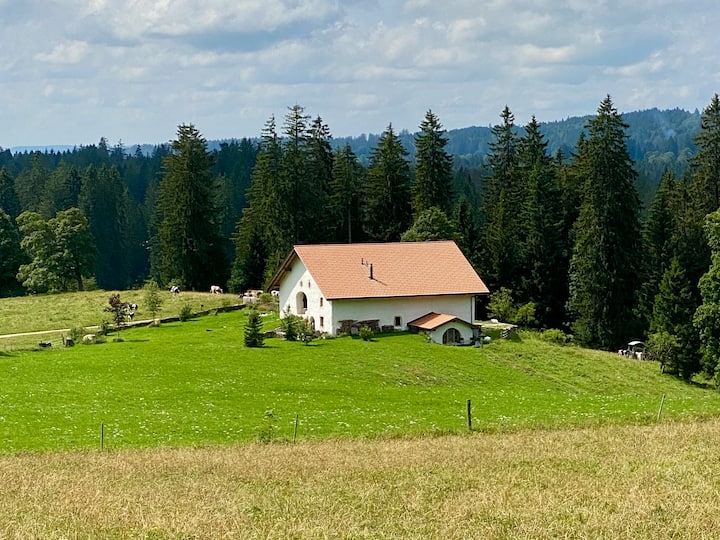 Peaceful Retreat In The Jura Mountains - Les Breuleux