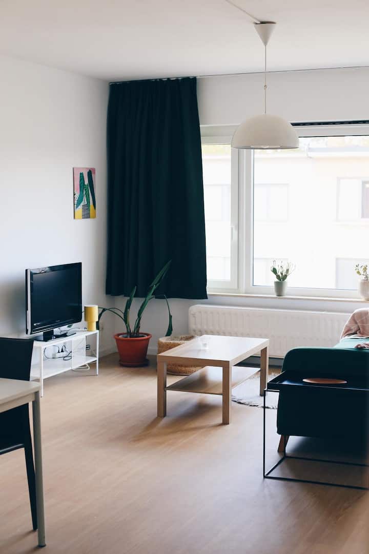 Studio O'boke - Zwijndrecht