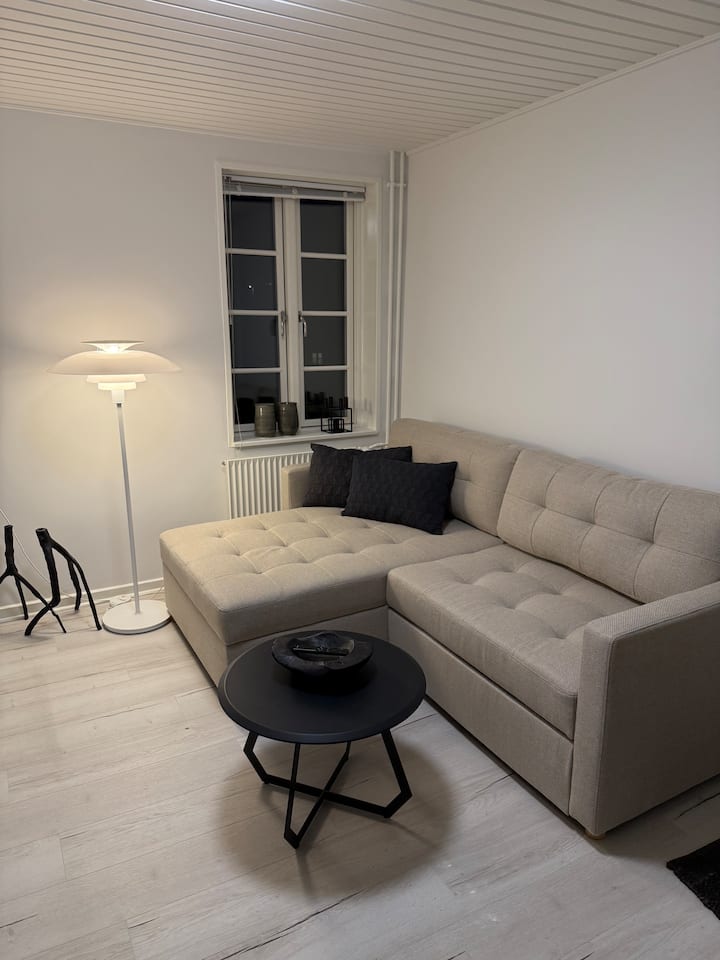 Central Odense Apartment Near Train & Town - Odense