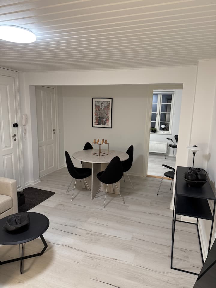 Central Odense Apartment Near Train & Town - Odense