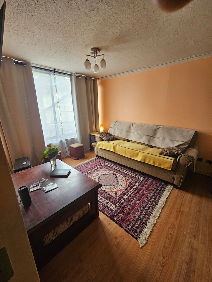 Acogedor Departamento En El Centro De Coyhaique - Coyhaique