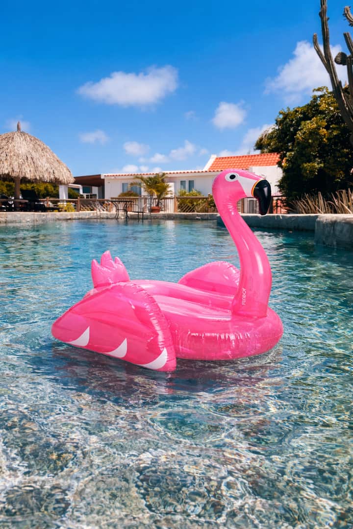 5 Star Hideout's Garden Suite 3 Ideal For Couples - Aruba