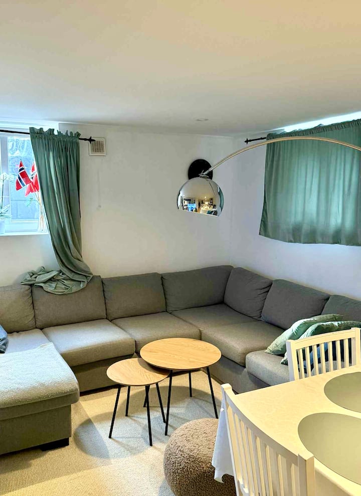 Lys Kjellerleilighet Med  2 Soverom I Sentrum. - Viken