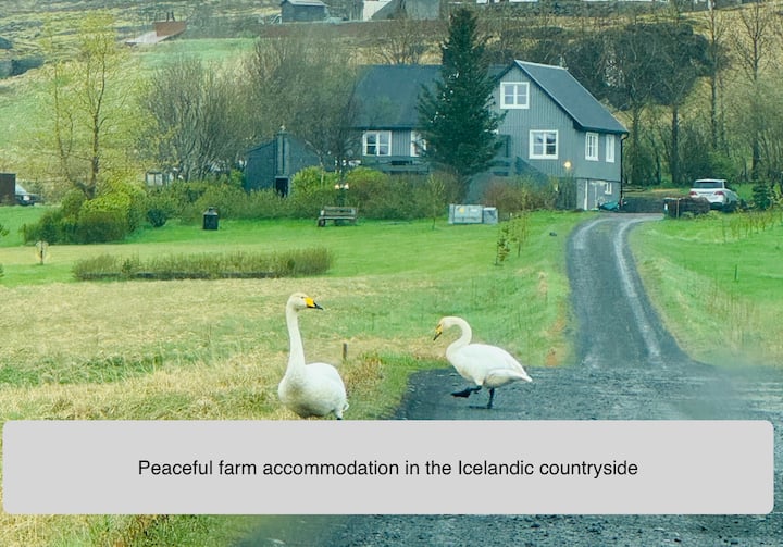 ÁSgarður Farm Stay Apartment - Greenland