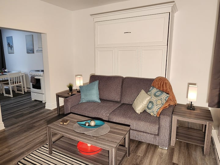 Downtown Ottawa Private Studio | Walk To Uottawa - Ottawa