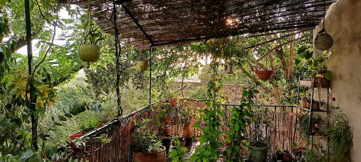 Chambre Chez L’habitant - Clermont-l'Hérault