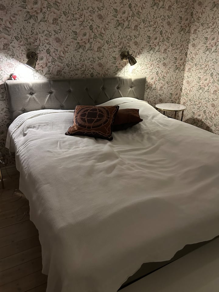 Mitt I Centrum Fem Min Från Vasaloppsmålet - Mora