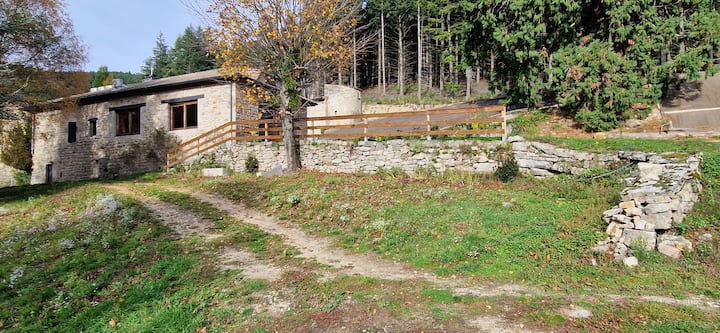 Gîte Le Séquoia 15 Couchages  Les Gites Dbm - Annonay