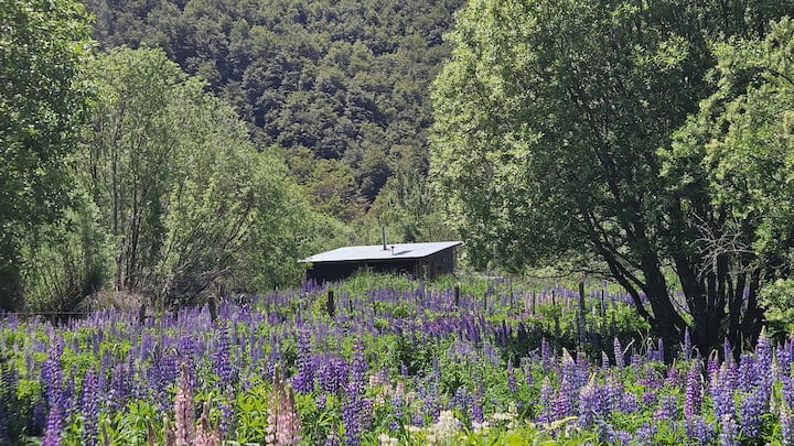 Cabaña Rústica Aysen/coyhaique Con Acceso A Río - Aysén