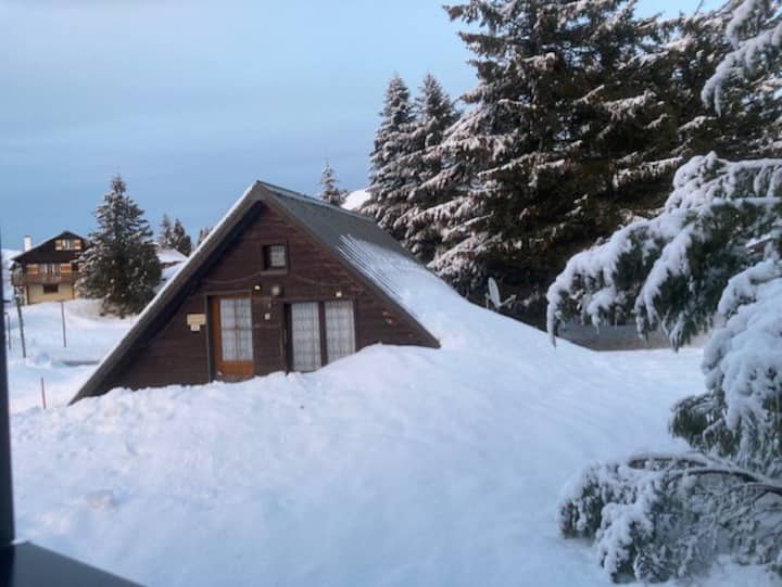 Le Petit Chalet - Alpage De Font D'urle - Font d'Urle
