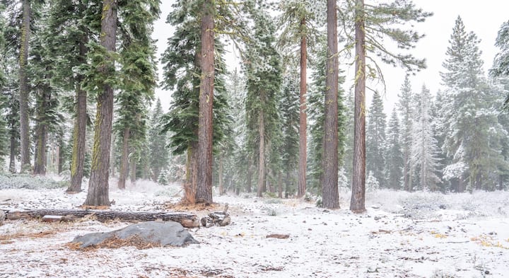 2br Condo | Ski, Soak, And Stargaze In Tahoe Vista - Tahoe Vista, CA