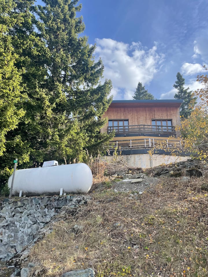 Gîte, Au Pied Des Pistes, 300m2, 36 Personnes - Villard-Reculas