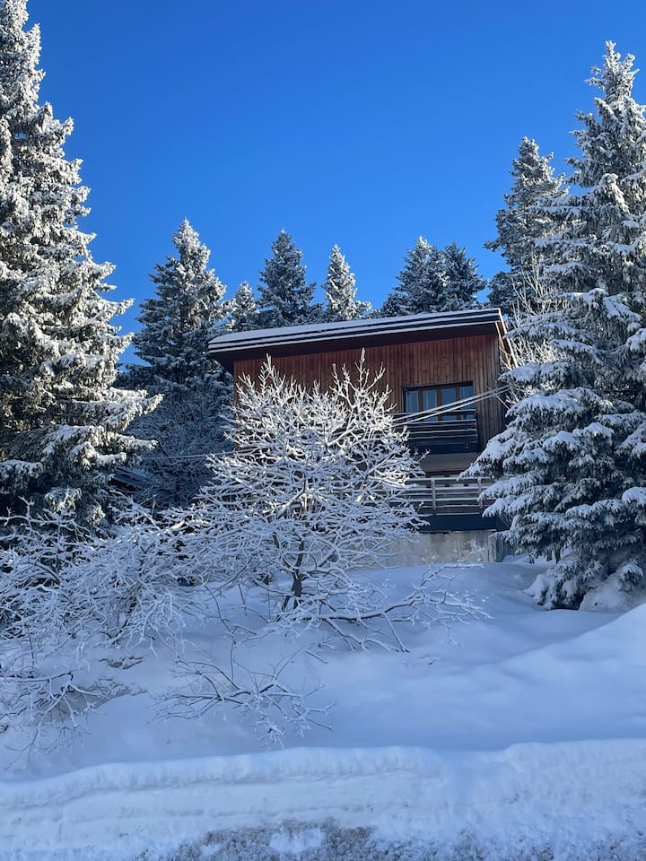 Gîte, Au Pied Des Pistes, 300m2, 36 Personnes - Séchilienne