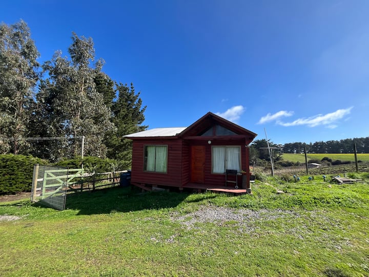 Cabaña En La Costa Dorada Del Sur De Chile - Cobquecura